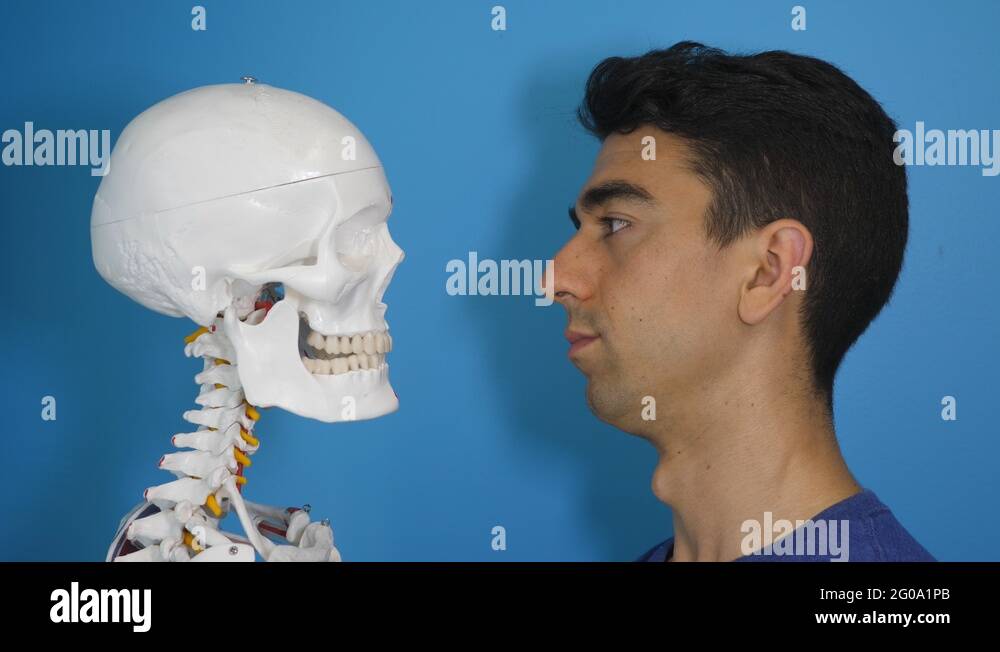 Skull in profile Stock Videos & Footage - HD and 4K Video Clips - Alamy