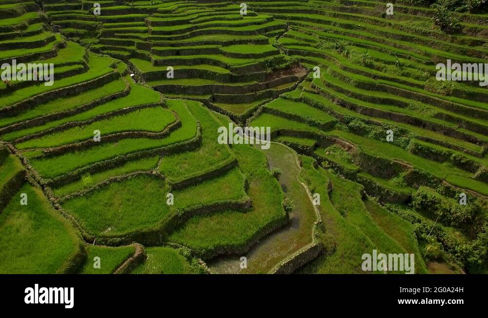 Batad Rice Terraces Aerial View, Ifugao Province, North Luzon ...