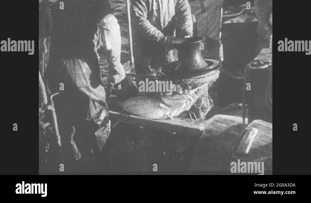 Power fish Stock Videos & Footage - HD and 4K Video Clips - Alamy