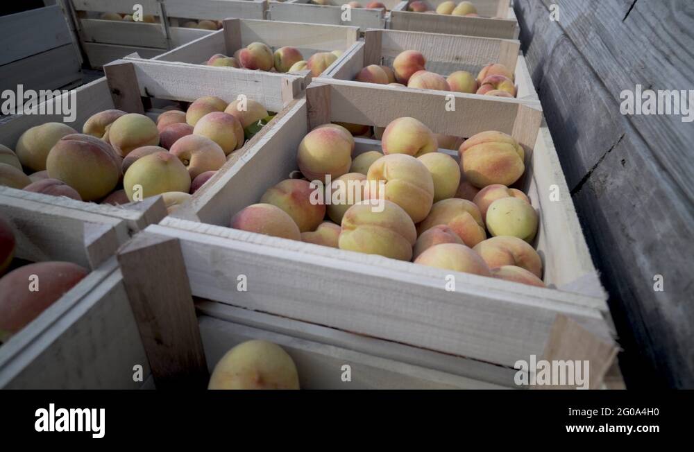 Flying crates Stock Videos & Footage - HD and 4K Video Clips - Alamy