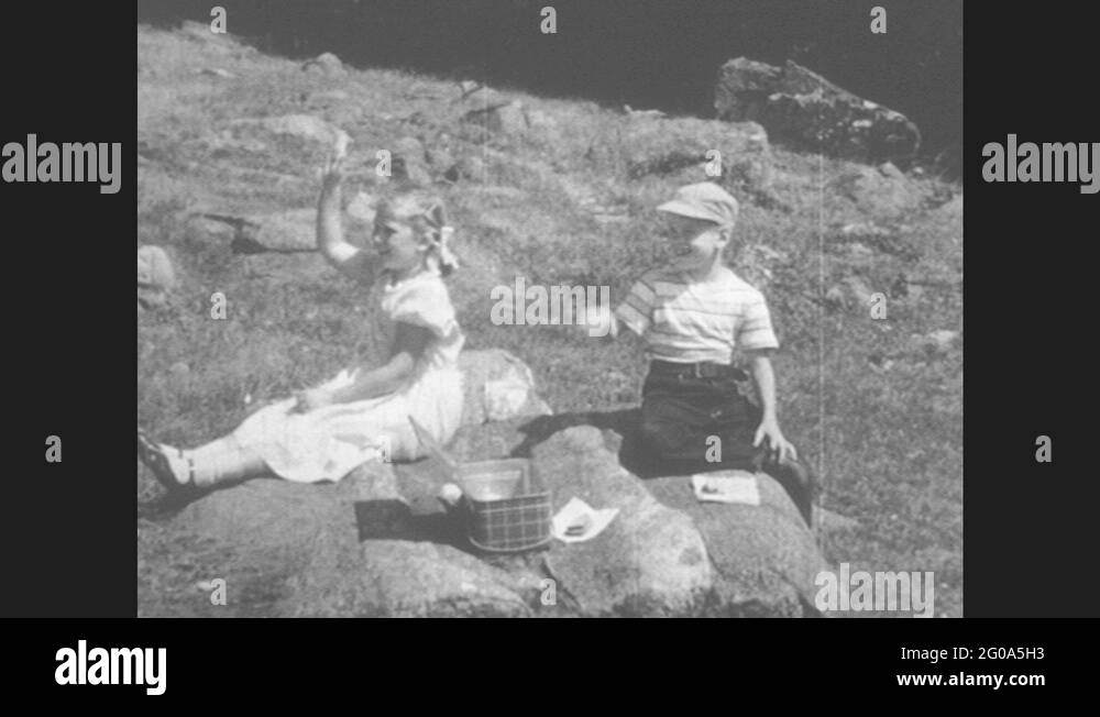 Animal wave Stock Videos & Footage - HD and 4K Video Clips - Alamy