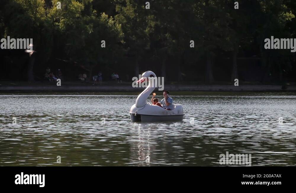 Floating swan Stock Videos & Footage - HD and 4K Video Clips - Alamy