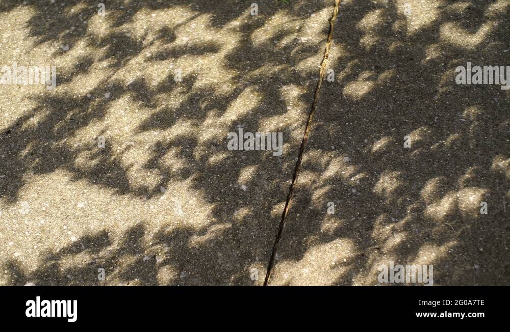Ground shadows Stock Videos & Footage - HD and 4K Video Clips - Alamy