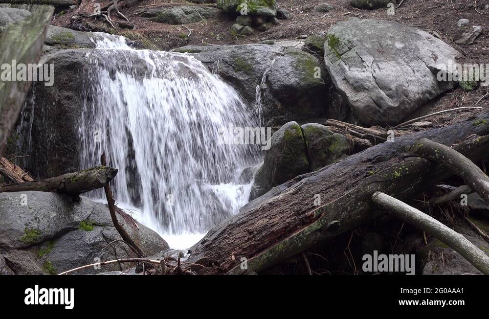 Granite stream forest Stock Videos & Footage - HD and 4K Video Clips ...