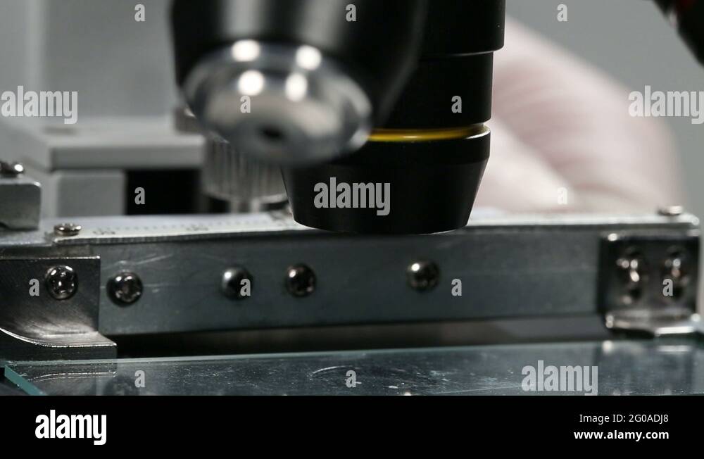 Seed sample Stock Videos & Footage - HD and 4K Video Clips - Alamy