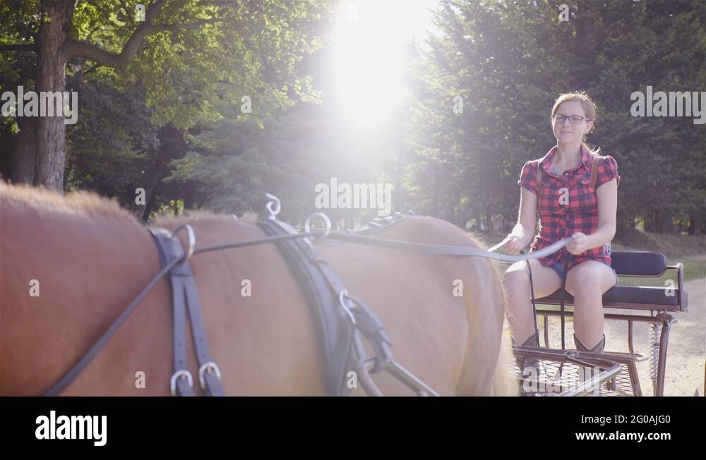 Woman carriage driving Stock Videos & Footage - HD and 4K Video Clips ...