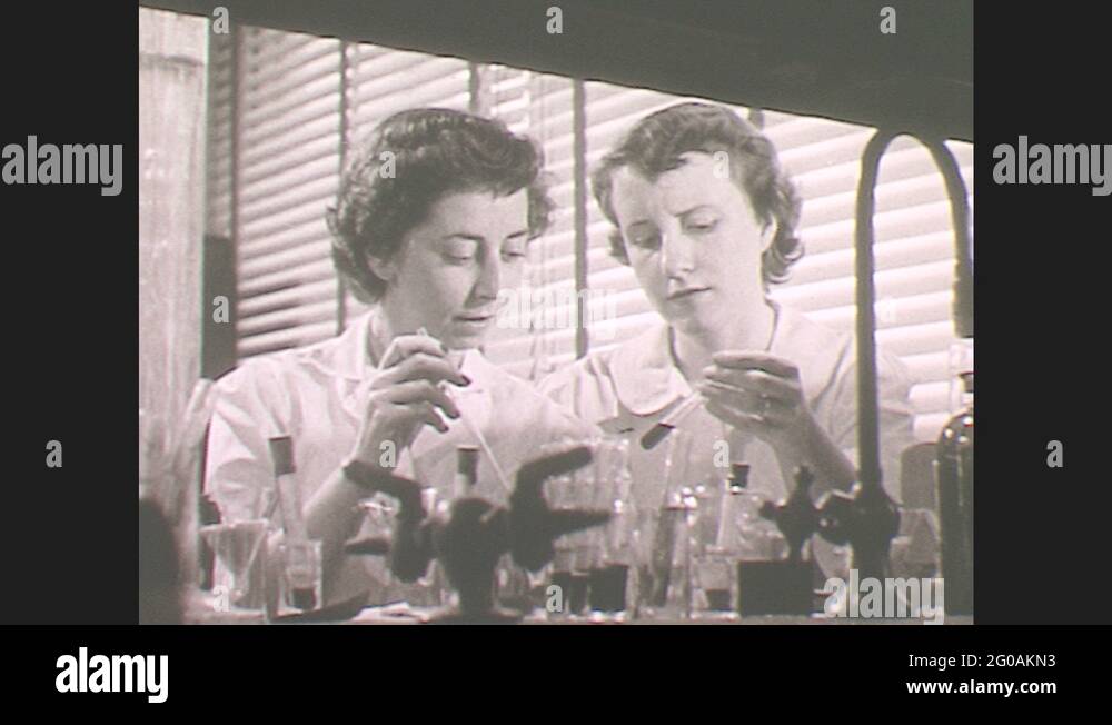 1950s women alcohol Stock Videos & Footage - HD and 4K Video Clips - Alamy