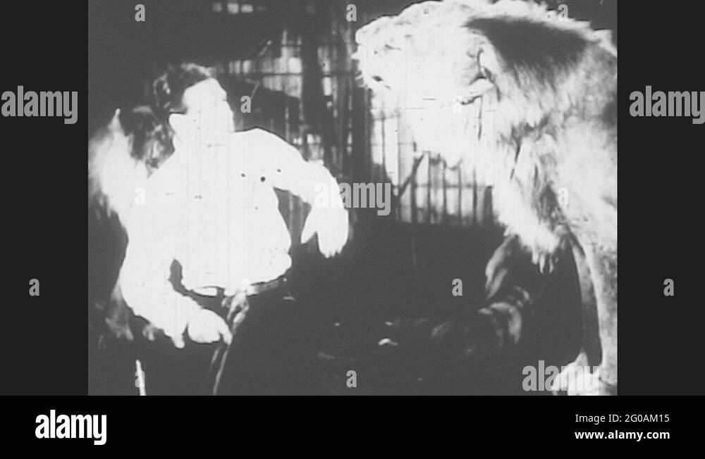 Man lion head Stock Videos & Footage - HD and 4K Video Clips - Alamy