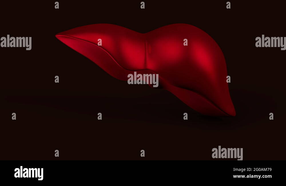 Liver structure Stock Videos & Footage - HD and 4K Video Clips - Alamy