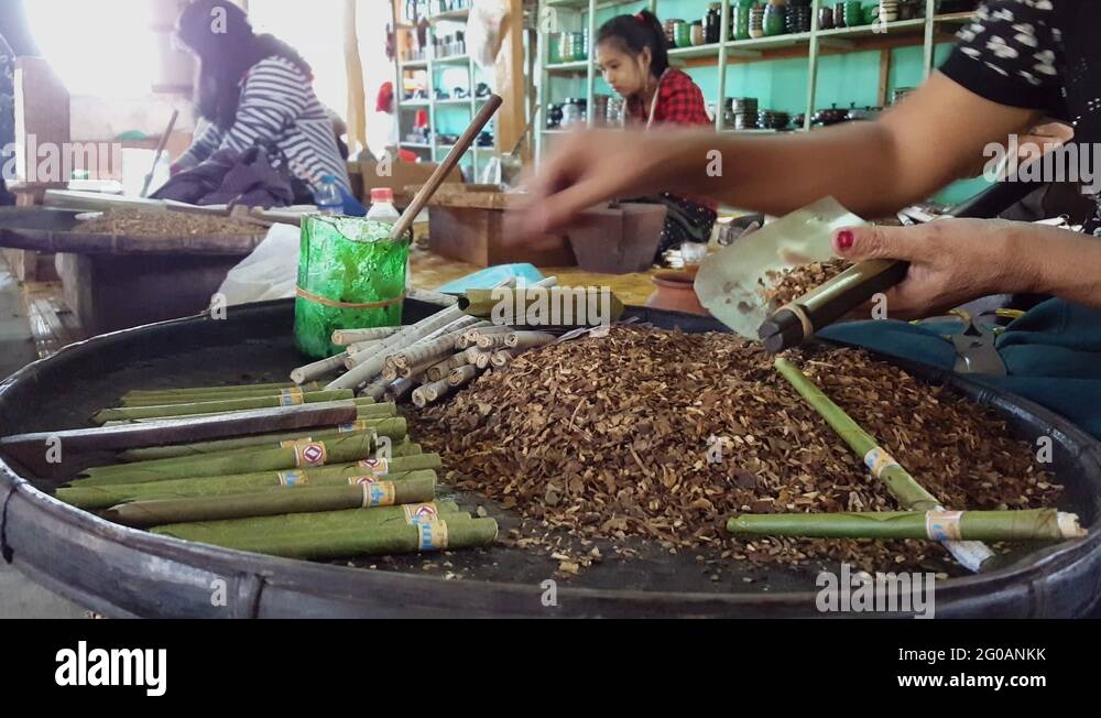 Burmese cheroot cigar Stock Videos & Footage - HD and 4K Video Clips ...
