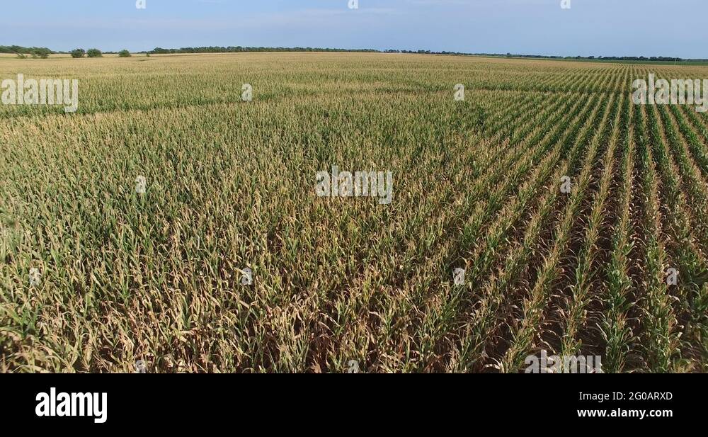 Field kansas Stock Videos & Footage - HD and 4K Video Clips - Alamy