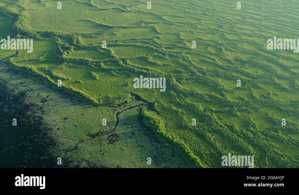 Forest fort Stock Videos & Footage - HD and 4K Video Clips - Alamy