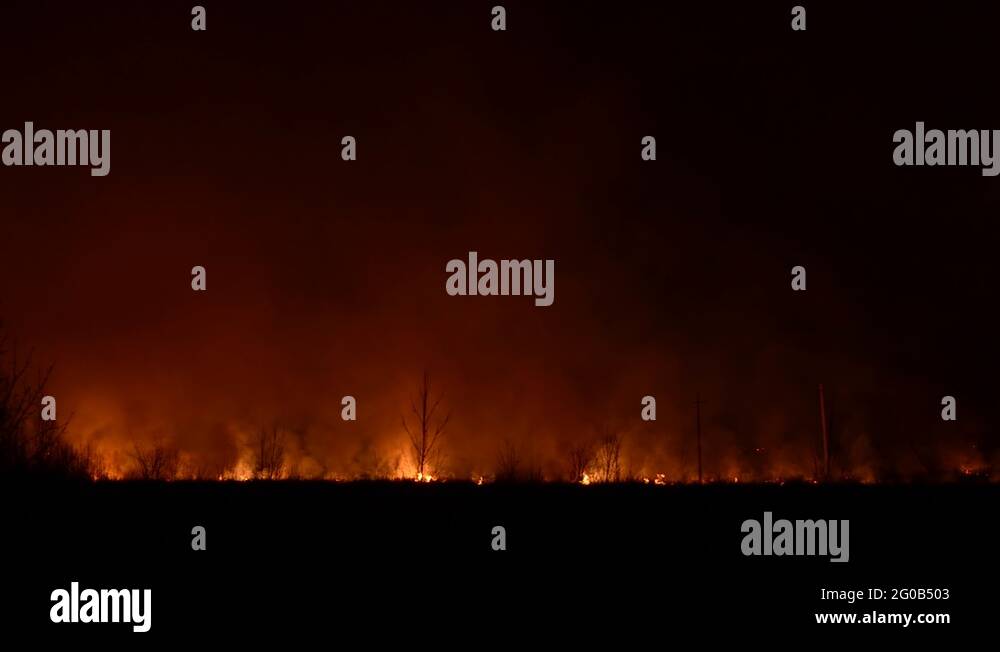 Firefighter forest fire Stock Videos & Footage - HD and 4K Video Clips ...