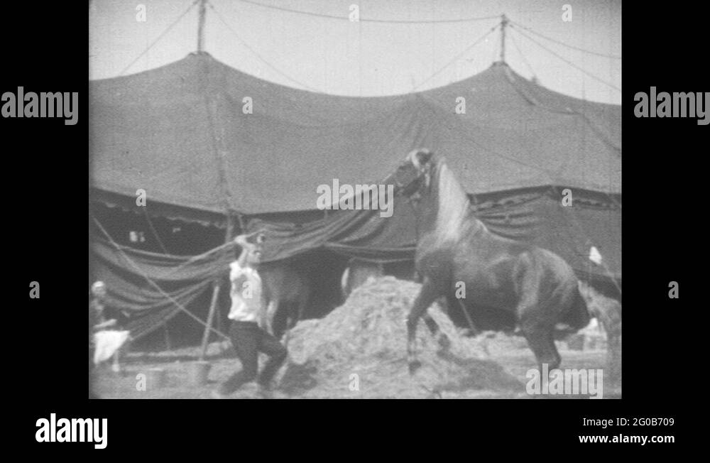 Circus worker Stock Videos & Footage - HD and 4K Video Clips - Alamy