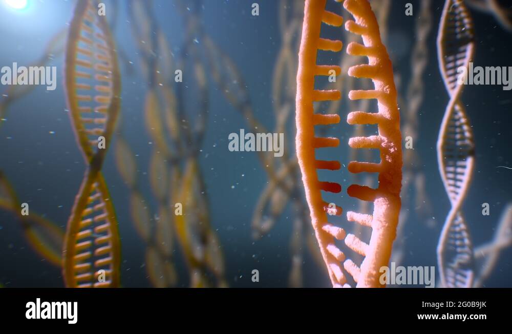 dna strand structure seamless loopable animation 8k UHD Stock Video ...