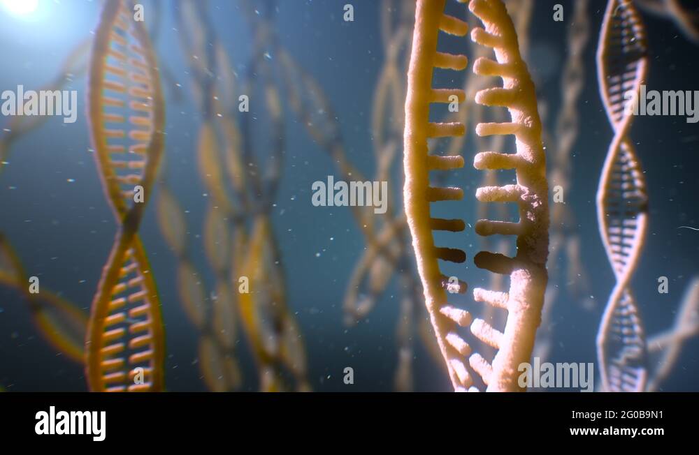 dna strand structure seamless loopable animation 8k UHD Stock Video ...