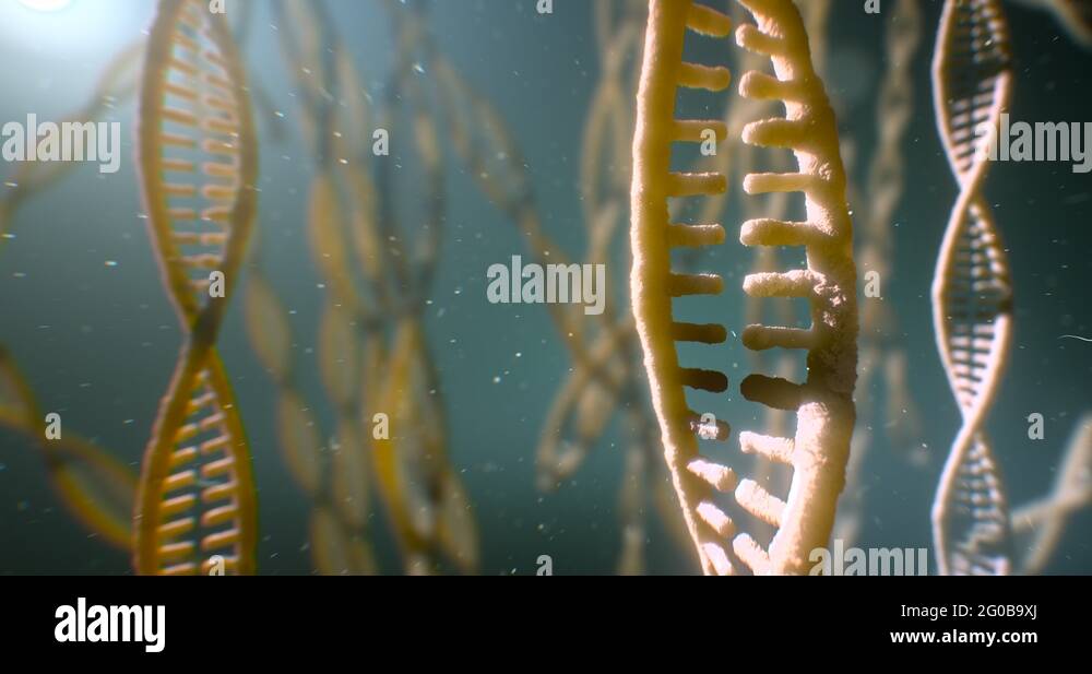 dna strand structure seamless loopable animation 4k UHD Stock Video ...