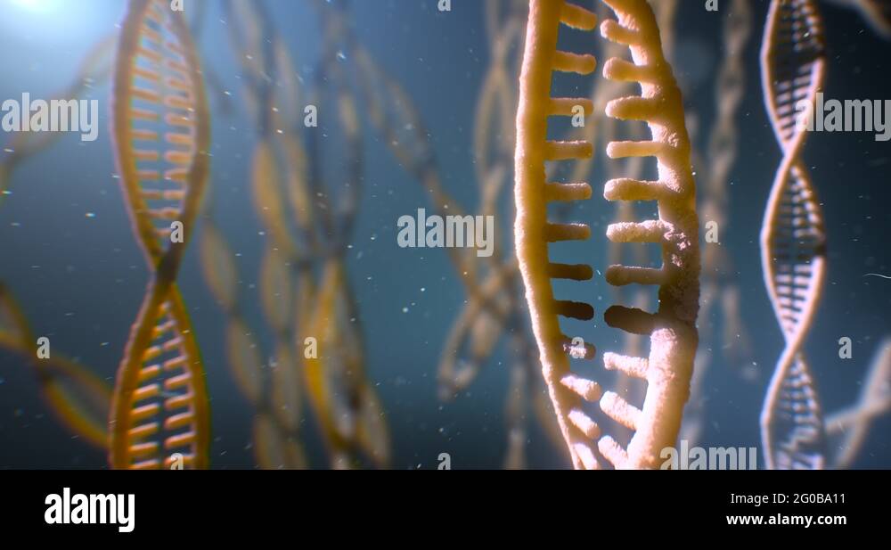 dna strand structure seamless loopable animation 4k UHD Stock Video ...