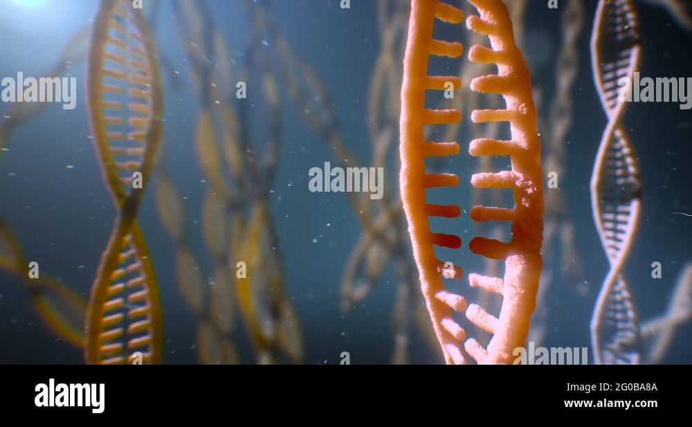 dna strand structure seamless loopable animation 4k UHD Stock Video ...
