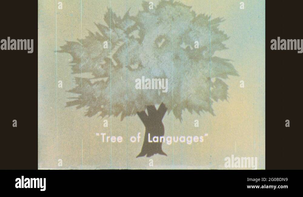1960s: Animation of a tree. Words Tree of Language. Branches grow on ...