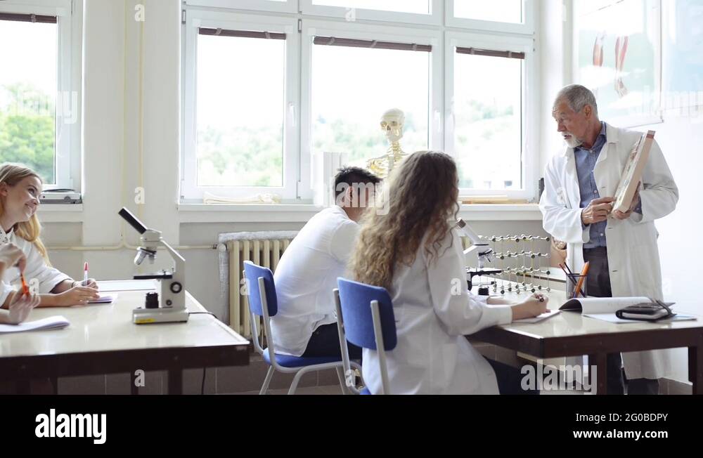 Students laboratory biology anatomy Stock Videos & Footage - HD and 4K ...