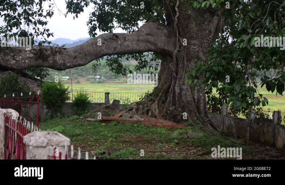Megaliths india Stock Videos & Footage - HD and 4K Video Clips - Alamy