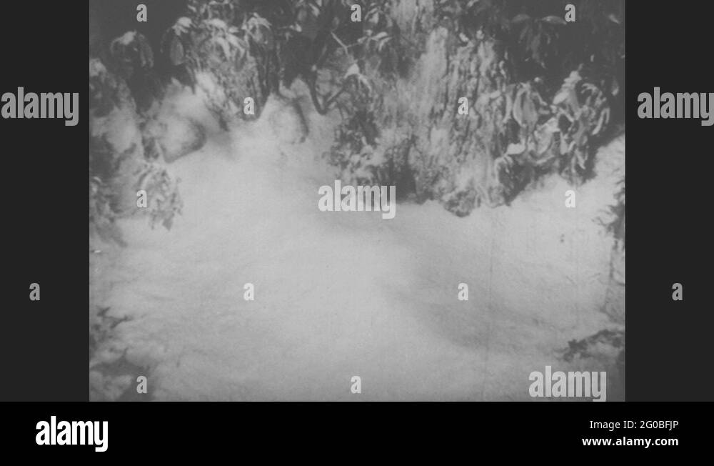 Chipmunk nest Stock Videos & Footage - HD and 4K Video Clips - Alamy