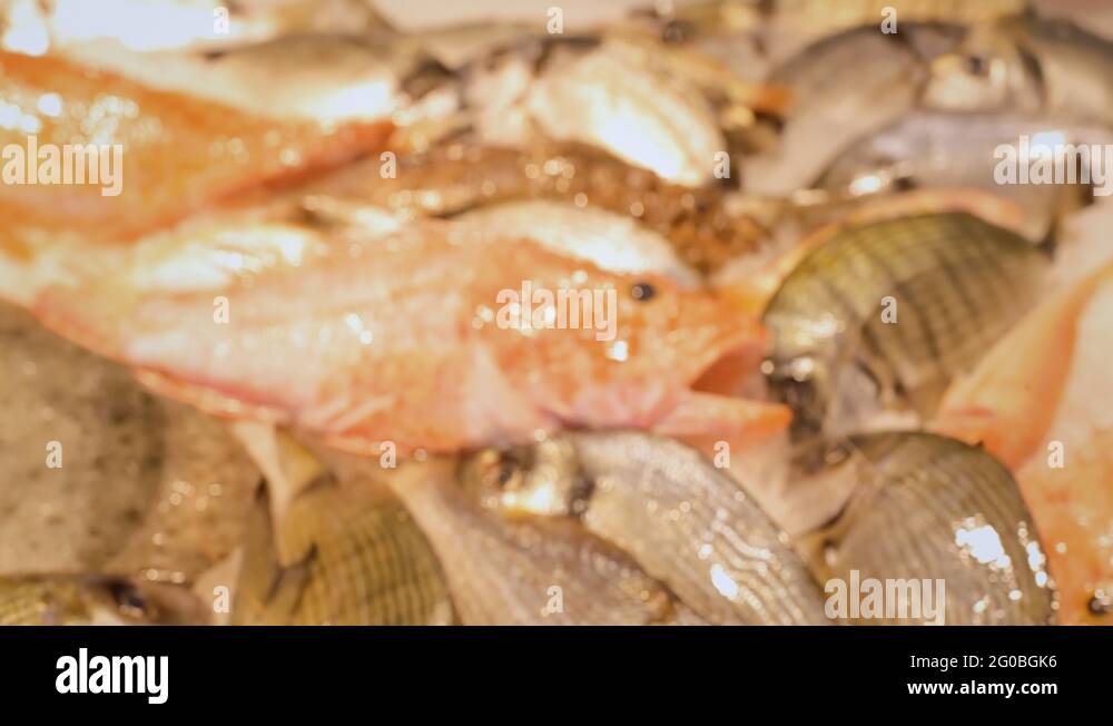 Beautiful eye in focus Stock Videos & Footage - HD and 4K Video Clips ...