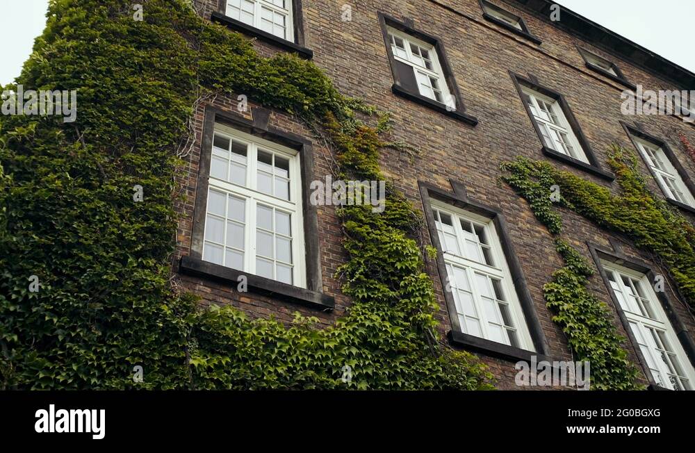 Tenement history Stock Videos & Footage - HD and 4K Video Clips - Alamy