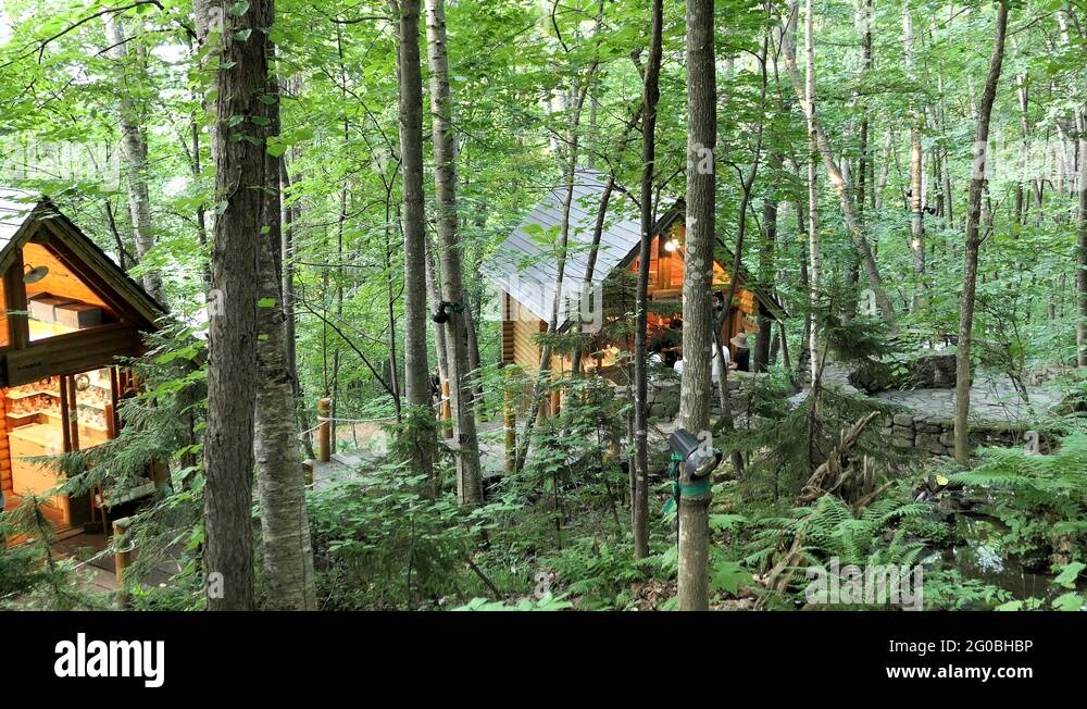 Elf house Stock Videos & Footage - HD and 4K Video Clips - Alamy