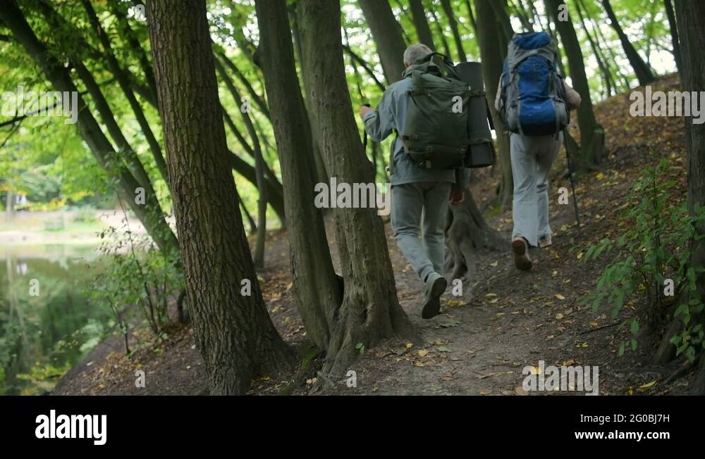 Rear view of of an elderly couple Stock Videos & Footage - HD and 4K Video Clips - Alamy