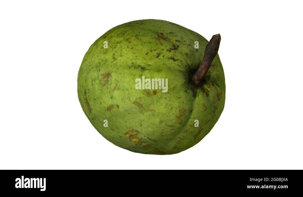 Guava on white Stock Videos & Footage - HD and 4K Video Clips - Alamy