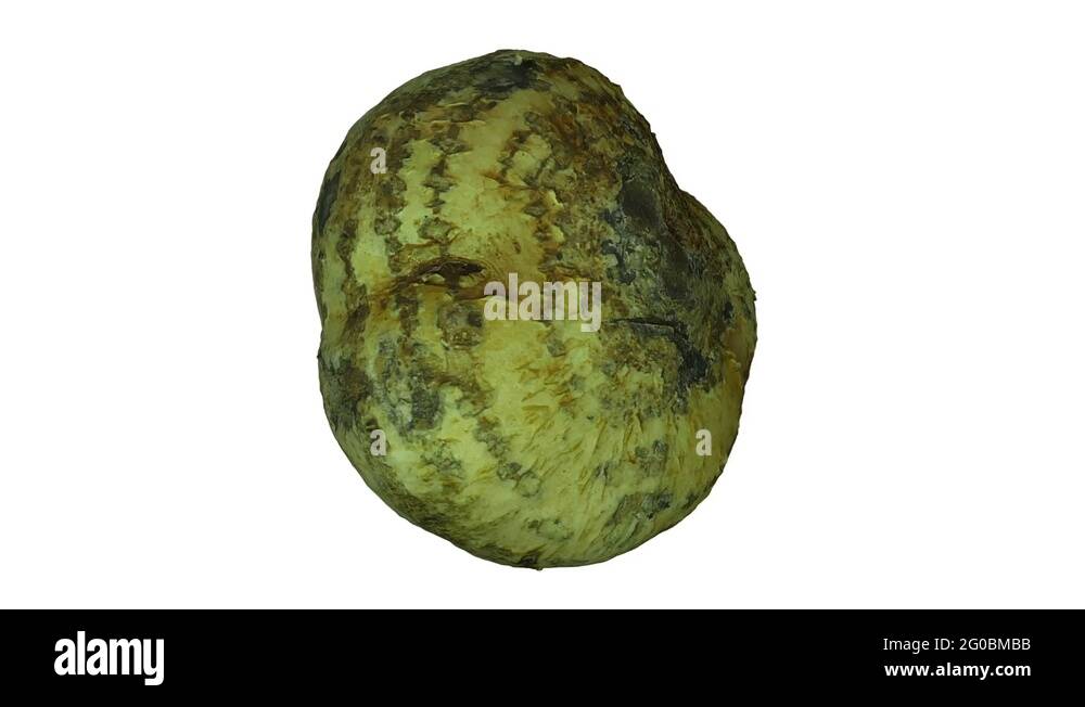 Turnip cut out Stock Videos & Footage - HD and 4K Video Clips - Alamy