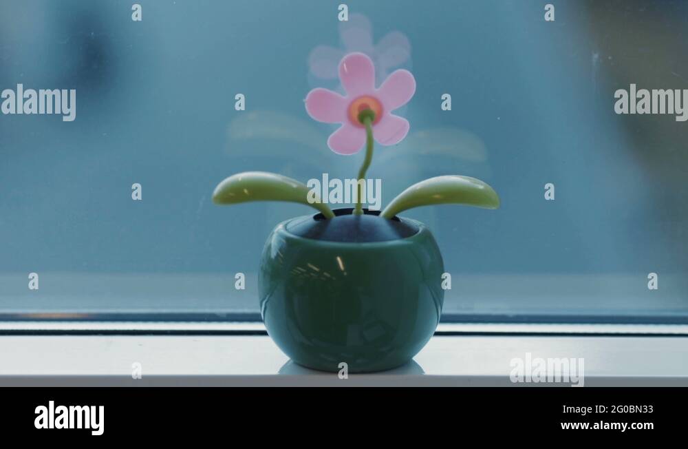 Plastic vase Stock Videos & Footage - HD and 4K Video Clips - Alamy