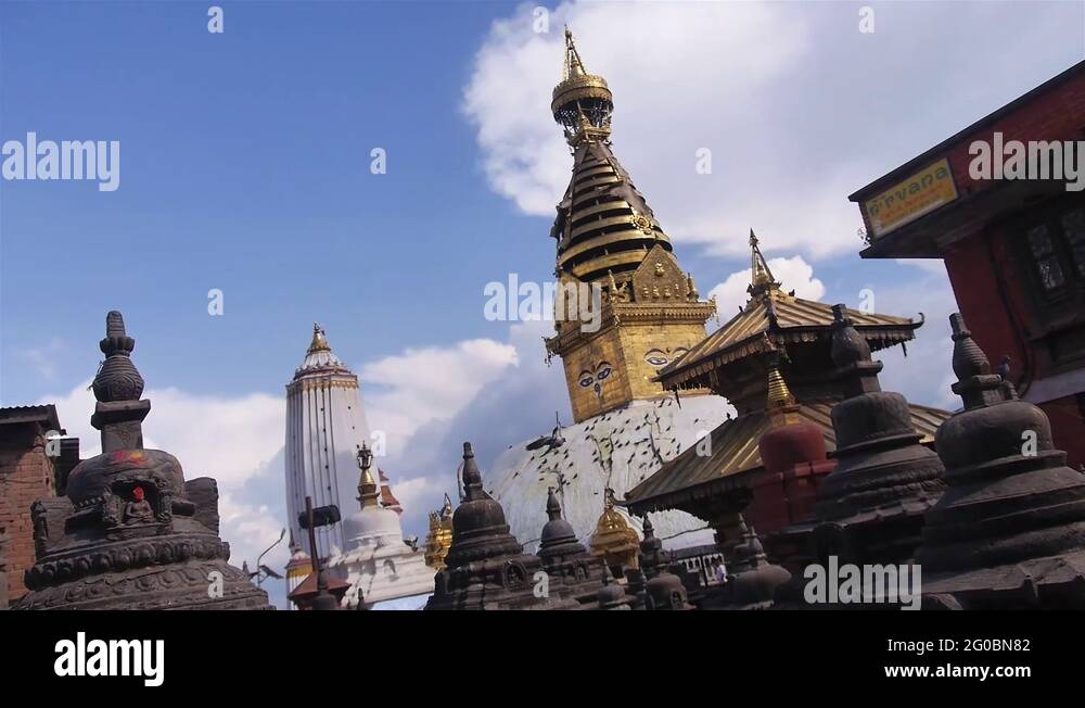Flying monkey statue Stock Videos & Footage - HD and 4K Video Clips - Alamy