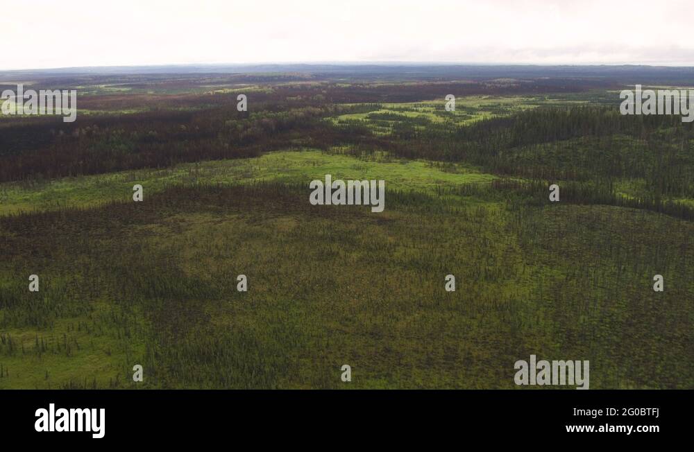 Burnt alaska Stock Videos & Footage - HD and 4K Video Clips - Alamy