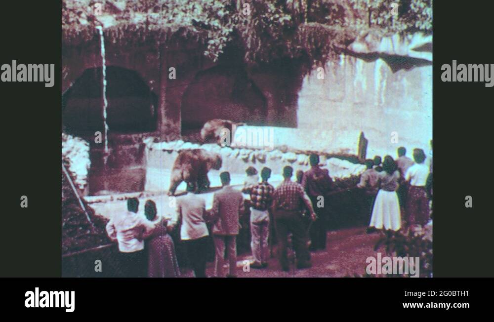 1950s: United States: Bear In Grotto At Zoo. People Watch Bears In ...