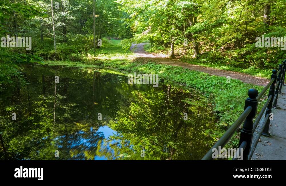 Time lapse beautiful lake forest Stock Videos & Footage - HD and 4K ...