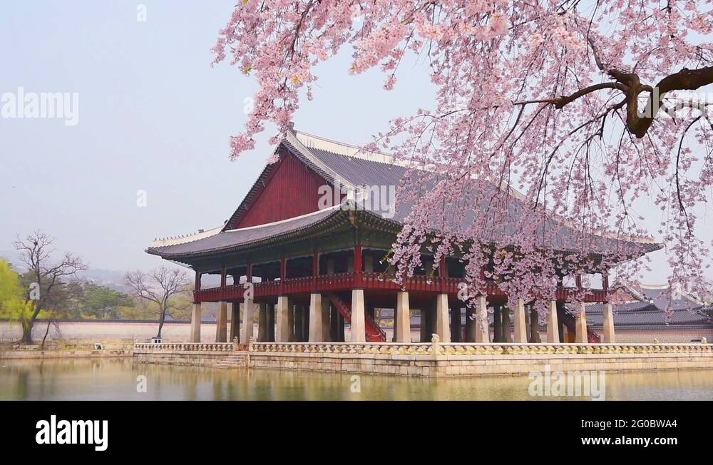 Seoul castle Stock Videos & Footage - HD and 4K Video Clips - Alamy