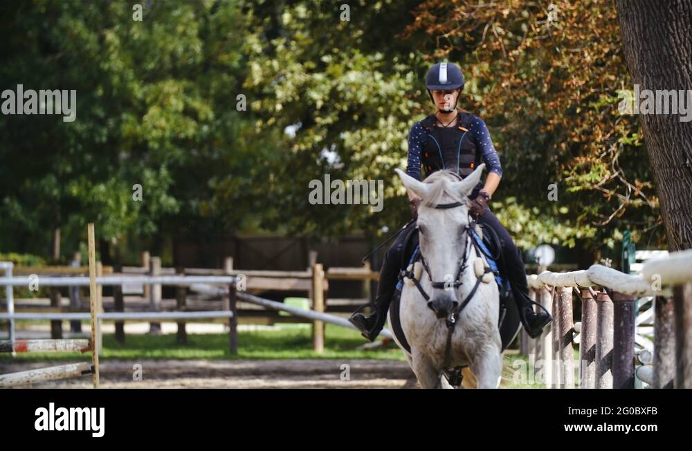 Dressage rider on beautiful white horse in slow motion 4K Stock Video ...