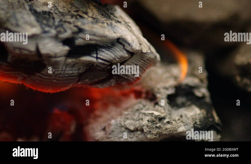 Log texture Stock Videos & Footage - HD and 4K Video Clips - Alamy