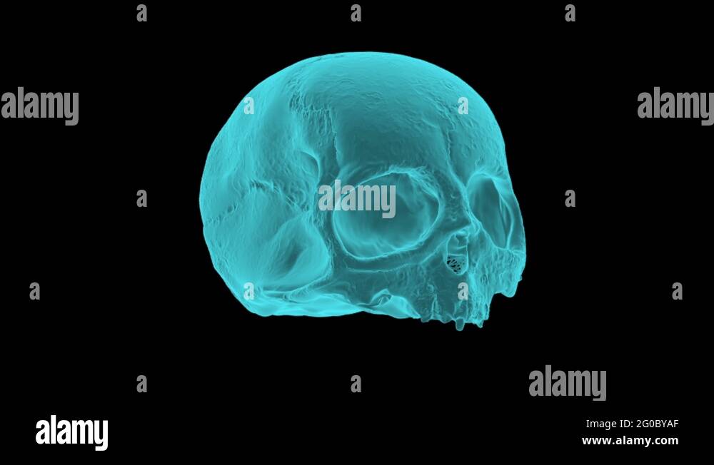 X ray of skull human body anatomy Stock Videos & Footage - HD and 4K ...