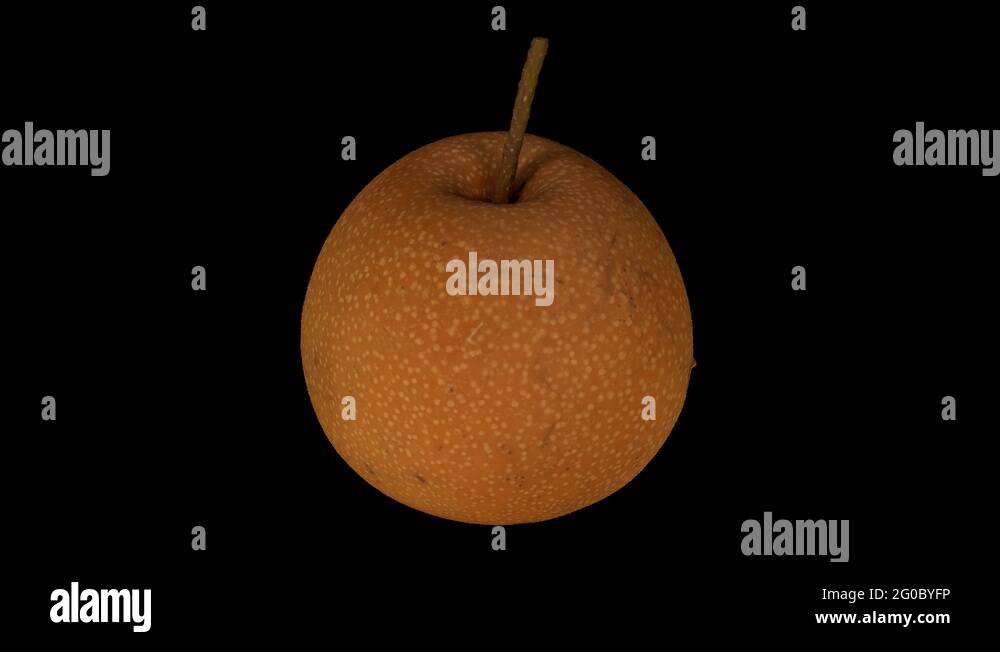 Rotating Asian Pear on Transparent Background (Alpha Channel Stock ...