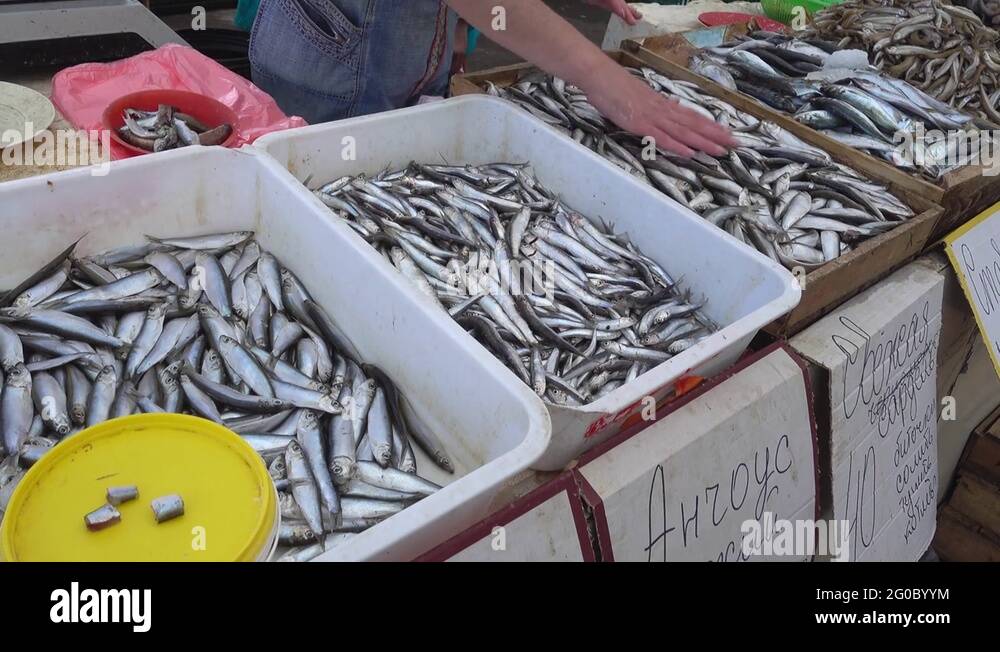 Cured fish Stock Videos & Footage - HD and 4K Video Clips - Alamy