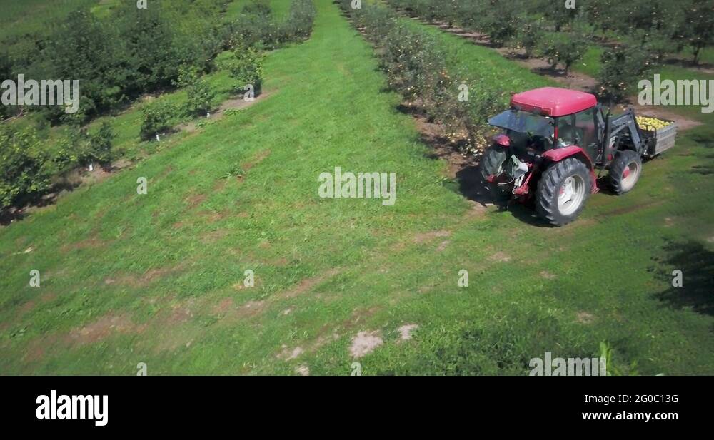 Crate apples tractor Stock Videos & Footage - HD and 4K Video Clips - Alamy