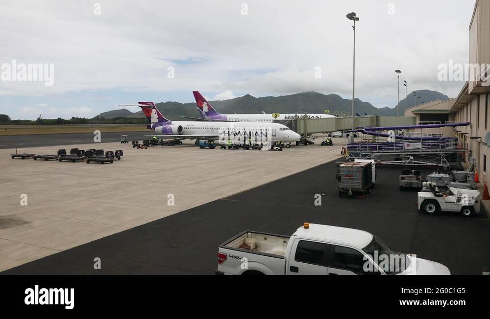 Airplane gate Stock Videos & Footage - HD and 4K Video Clips - Alamy