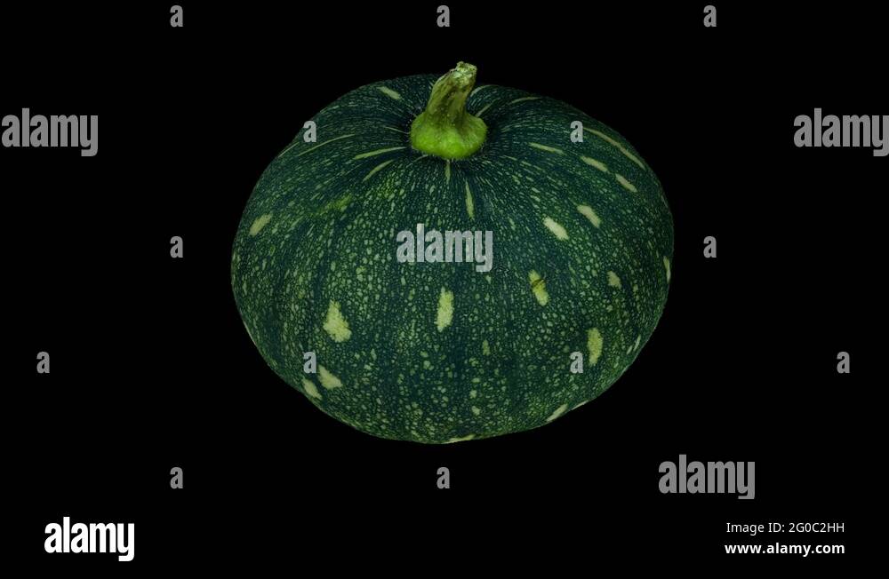 Rotating Kabocha Squash on Transparent Background (Alpha Channel Stock ...