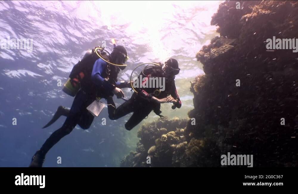 Two deepwater scuba divers swimming near coral reefs underwater in Red ...