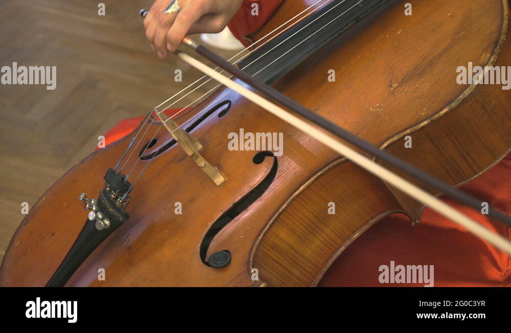 Contrabass instruments Stock Videos & Footage - HD and 4K Video Clips ...