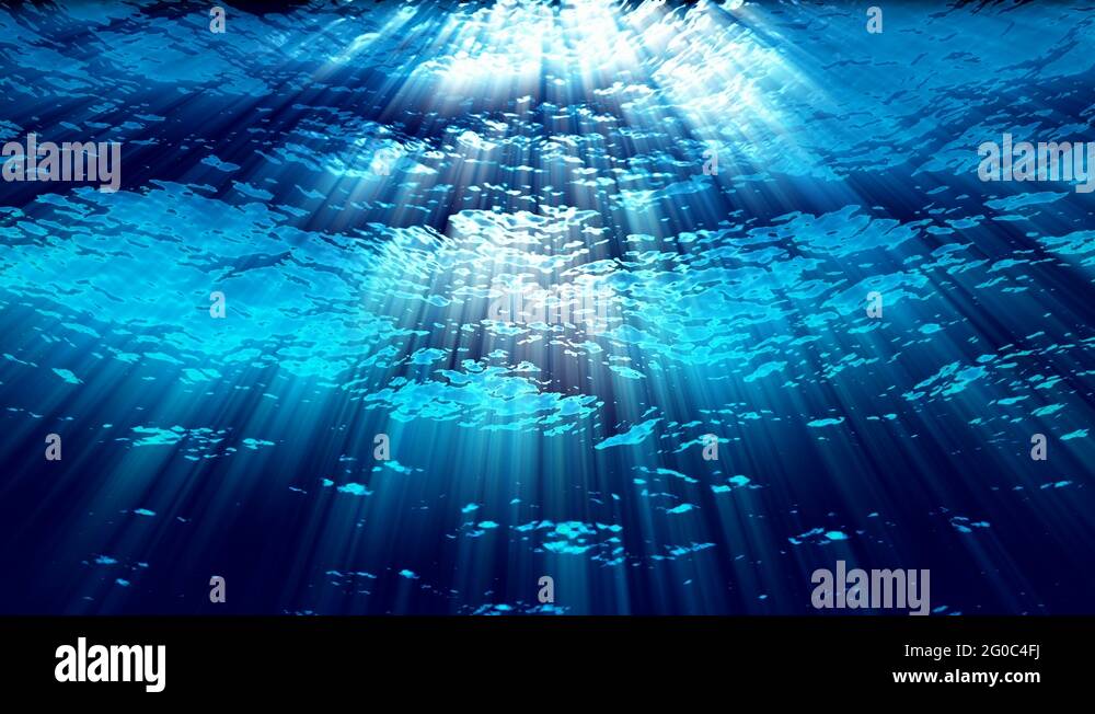 Underwater video loop Stock Videos & Footage - HD and 4K Video Clips ...